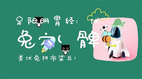 中医面诊之面部反射区——面部各部位对应的脏腑健康问题 经络穴位 大道家园