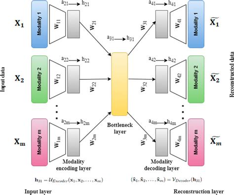 Frontiers Unsupervised Neural Network For Single Cell Multi Omics