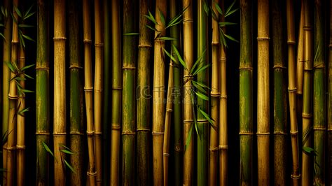 竹子背景图片免费下载海报banner高清大图千库网图片编号6644226