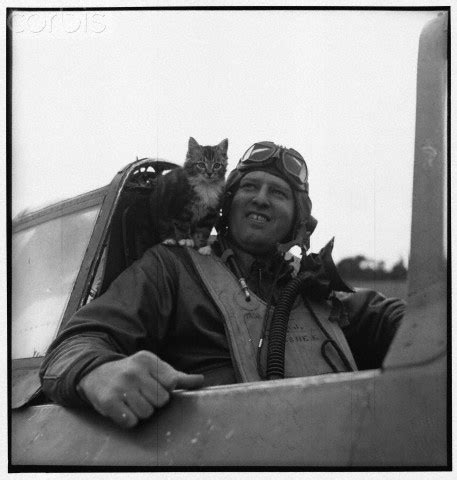 Cats In 20th Century History Cats In War
