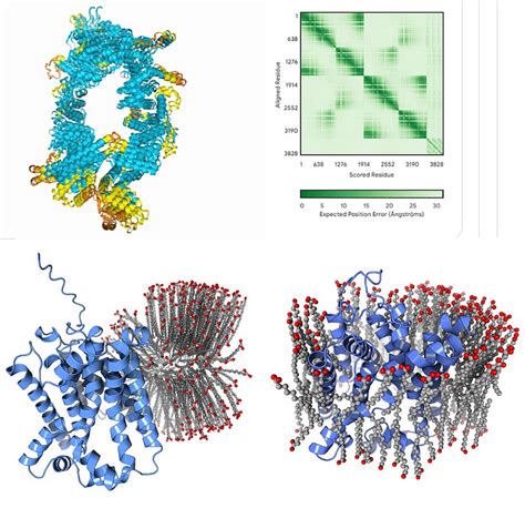 How To Predict Protein Structures With Alphafold 2 Using Colabfold By