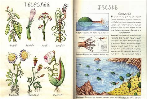 Codex Seraphinianus More Pages Dimka Daily 20071004