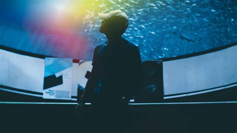 Going Beyond The Hot Take