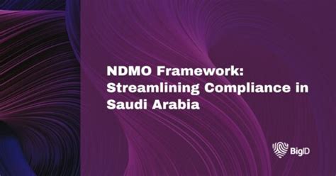 Navigating Ndmo Requirements Bigid