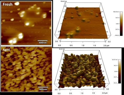 Atomic Force Microscopy Analysis Of Ha Aggregates Before And After