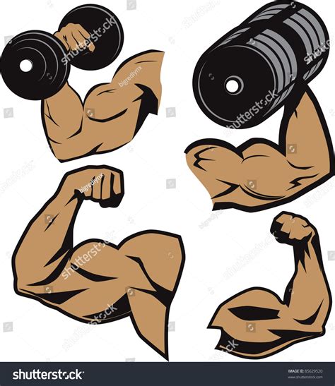 Weight Lifting Free Weights Arms At Ella Gatliff Blog