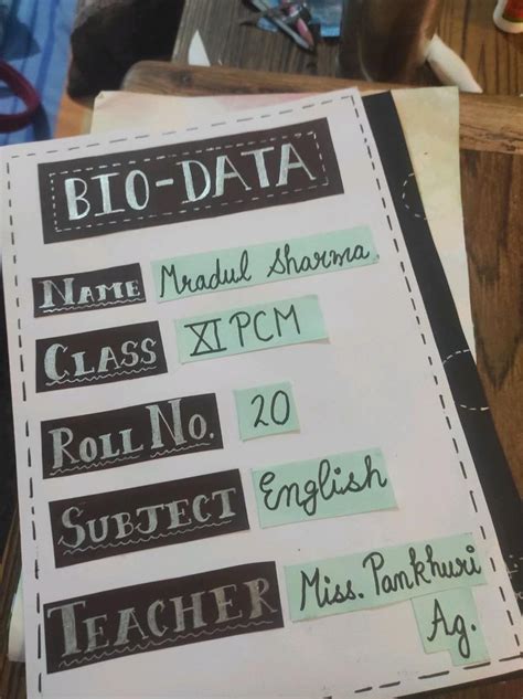 Biodata For School Project Biodata Design Ideas Bio Data Writing A Bio