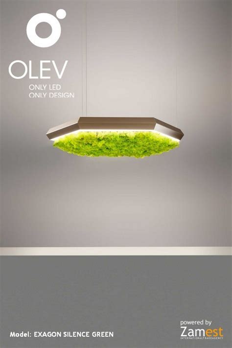 Olev