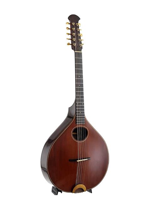 Stefan Sobell 10 String Cittern 1980s Music Instruments World Music Instruments