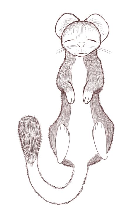 Practising How To Draw Realistic Fur R FurryArtSchool