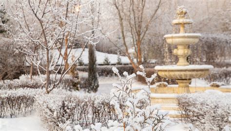 Winterize Outdoor Décor Suburban Lawn And Garden