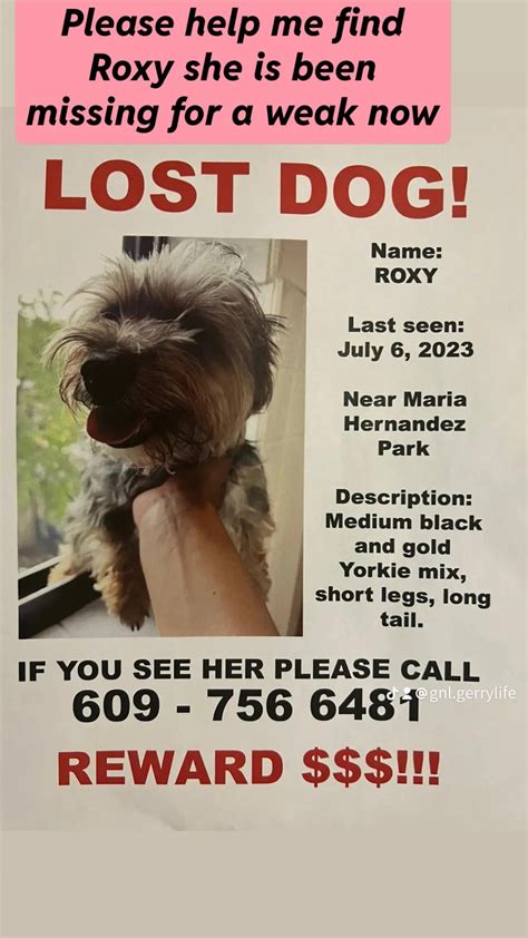 Help Me Find Roxy R Ridgewood