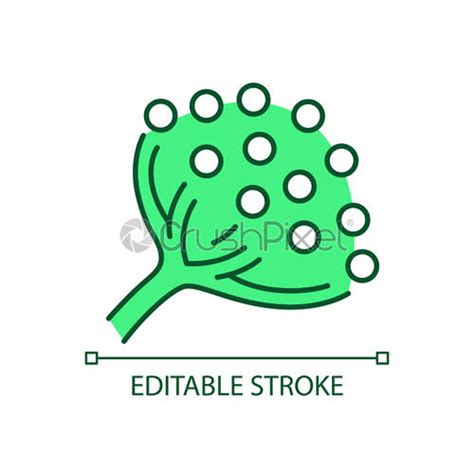 Mycotoxin Poisoning Rgb Color Icon Stock Vector 4874083 Crushpixel