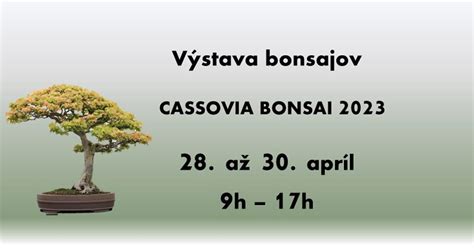 Cassovia Bonsai 2023 Kamdomestask