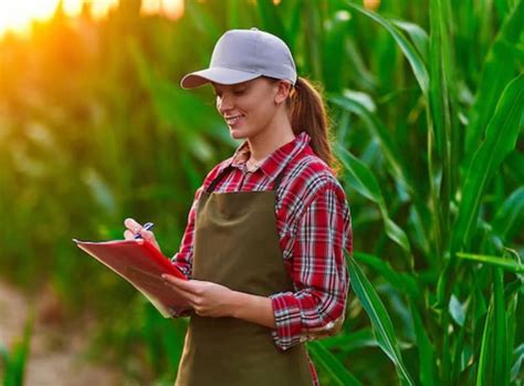 Adulting With Julie Part 2 Julie And Her Partner Are Feeling Less