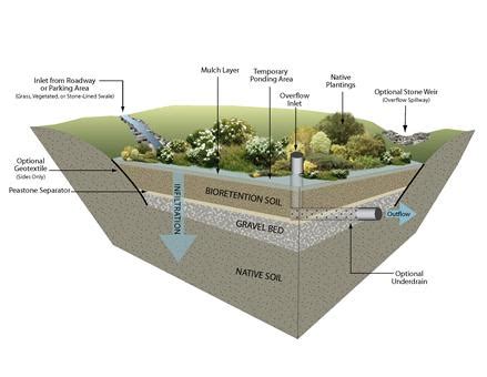 Bilder Von Bioretention Basin Bioretention Basinsrain Gardens Rmcrt
