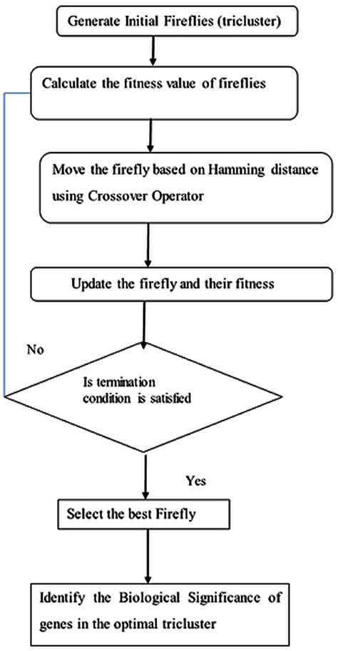 Flowchart For Discrete Firefly Optimization Based Triclustering Model