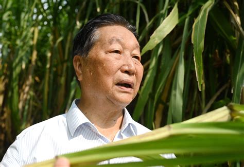 新华全媒丨向非洲传播菌草技术的使者林占林冬梅林善