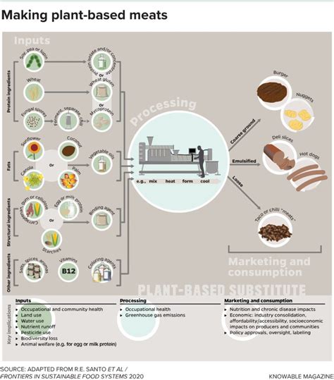 How Sustainable Are Fake Meats Csens