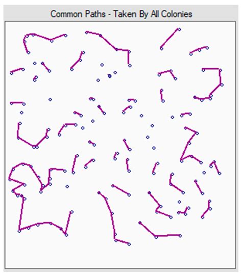 hybrid parallel ant colony optimization for application to quantum