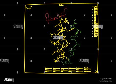 Pancreatic Polypeptide Computer Graphics Repre Sentation Of The Molecular Structure Of A Small