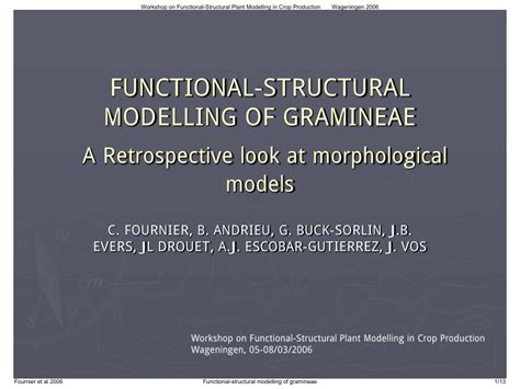 Pdf Functional Structural Modelling Of Gramineae