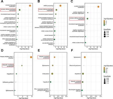 Function Prediction Of Three Characterized Chromatin Remodeling Download Scientific Diagram