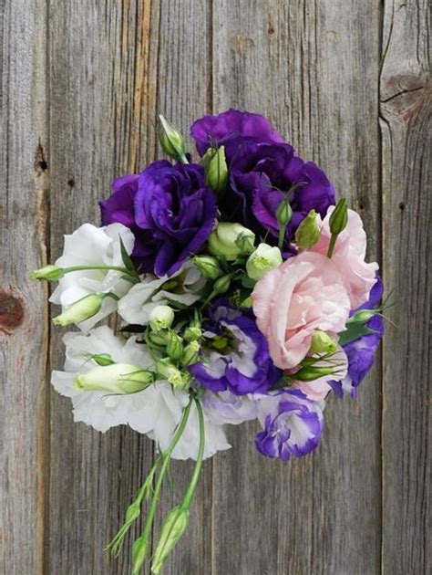 Wholesale Assorted Lisianthus Assorted Lisianthus Delivered Online