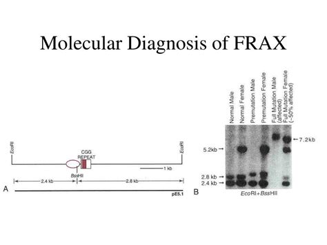Ppt Sex Powerpoint Presentation Free Download Id390378
