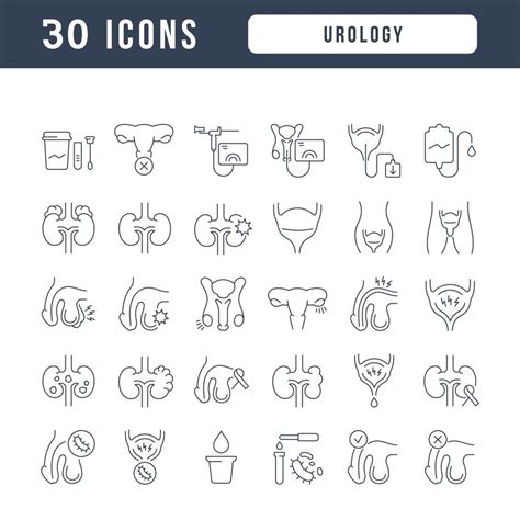 Set Of Linear Icons Of Urology 10559751 Vector Art At Vecteezy