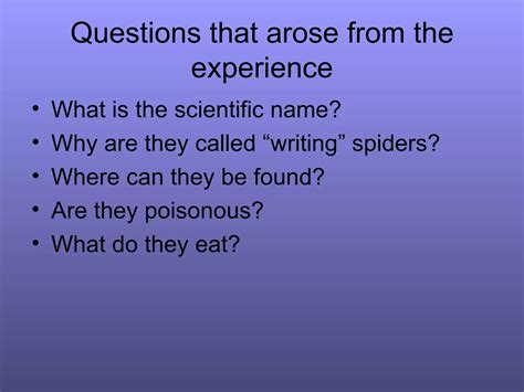 Writing Spiders Ppt