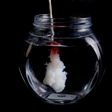 Isinglass Clarifyingfining Wine And Beer