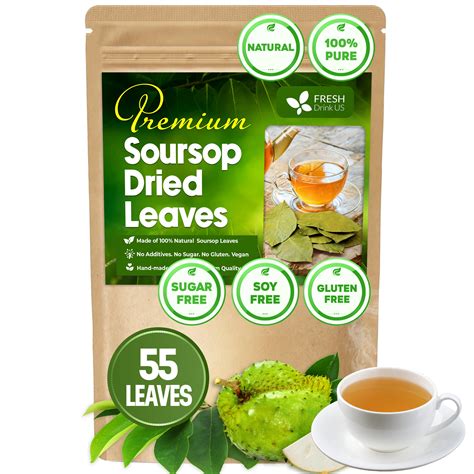 55 Premium Soursop Graviola Dried Leaves 55 60 Natural Leaves Whole