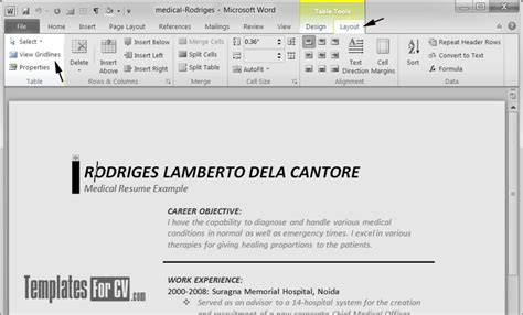 How To Edit Microsoft Word Table Templates For CV