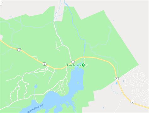 Field Trip 1 Olivia Mcnamee