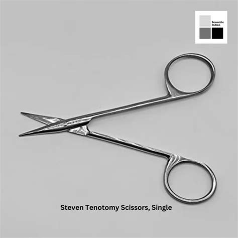 Stainless Steel Steven Tenotomy Scissors Single At Rs 899 In Lucknow