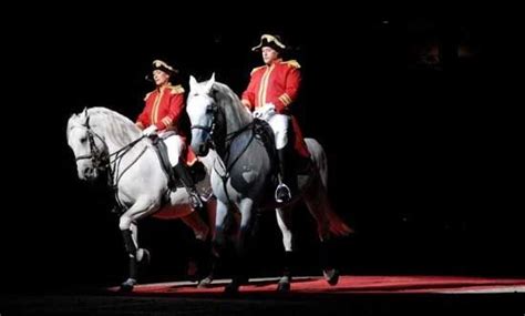 Photo Gallery The World Famous Lipizzaner Stallions Photo Galleries