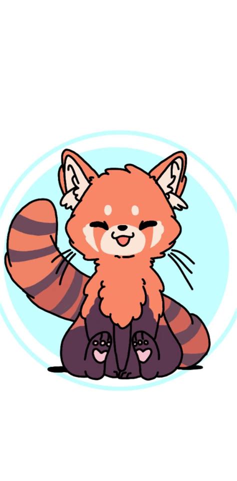 Cute Red Panda Wallpapers Wallpaper Cave