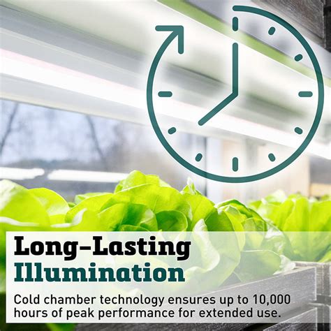 Sunblaster T5 Replacement Bulb 4 Harris Seeds