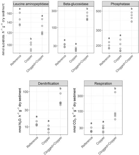 Microbial Functional Responses For Each Treatment In The First 3 Cm Of