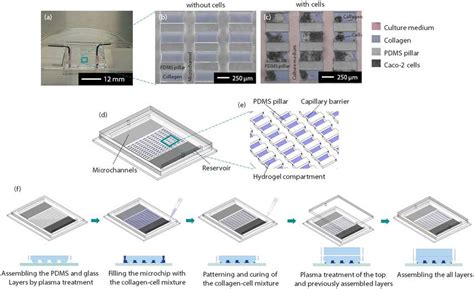 overview of microfluidic chip design and the method of patterning