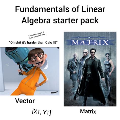 The Fundamentals Of Linear Algebra Starter Pack R Starterpacks