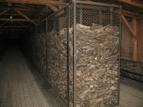 Do Sachsenhausenravensbruck Camps Have Disturbing Pictures Berlin Forum Tripadvisor
