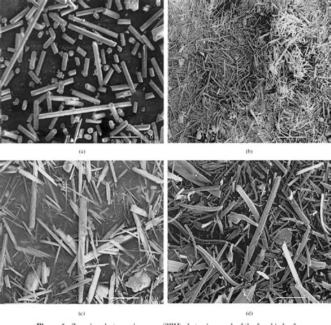 Freeform Surface Modelling Semantic Scholar