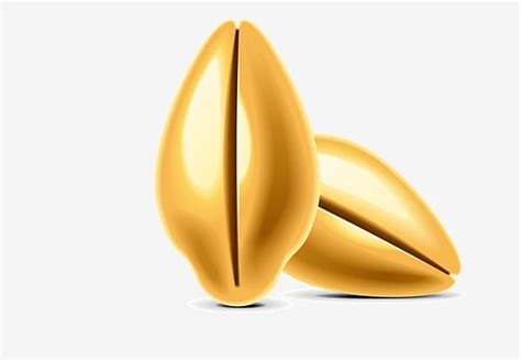 卡通金黄色的种子免抠素材 平面电商 创意素材 Png素材 花瓣网