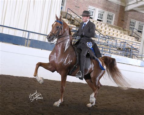 Country Pleasure — Chrishan Park