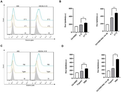 The Uptake Of Exosomes Was Temperature And Protein Dependent A Exosome