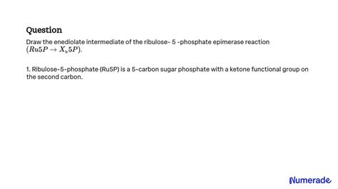 Solveddraw The Enediolate Intermediate Of The Ribulose 5 Phosphate