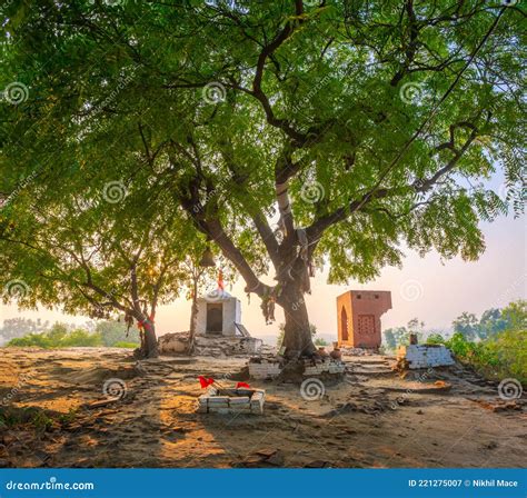 Maa Vishari Devi Temple Near Lord Buddha Sankisa Stupa Royalty Free
