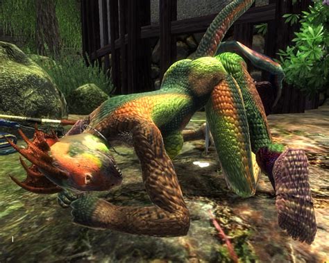 Rule 34 3d Anthro Argonian Dar Ma Mod Oblivion Scalie The Elder